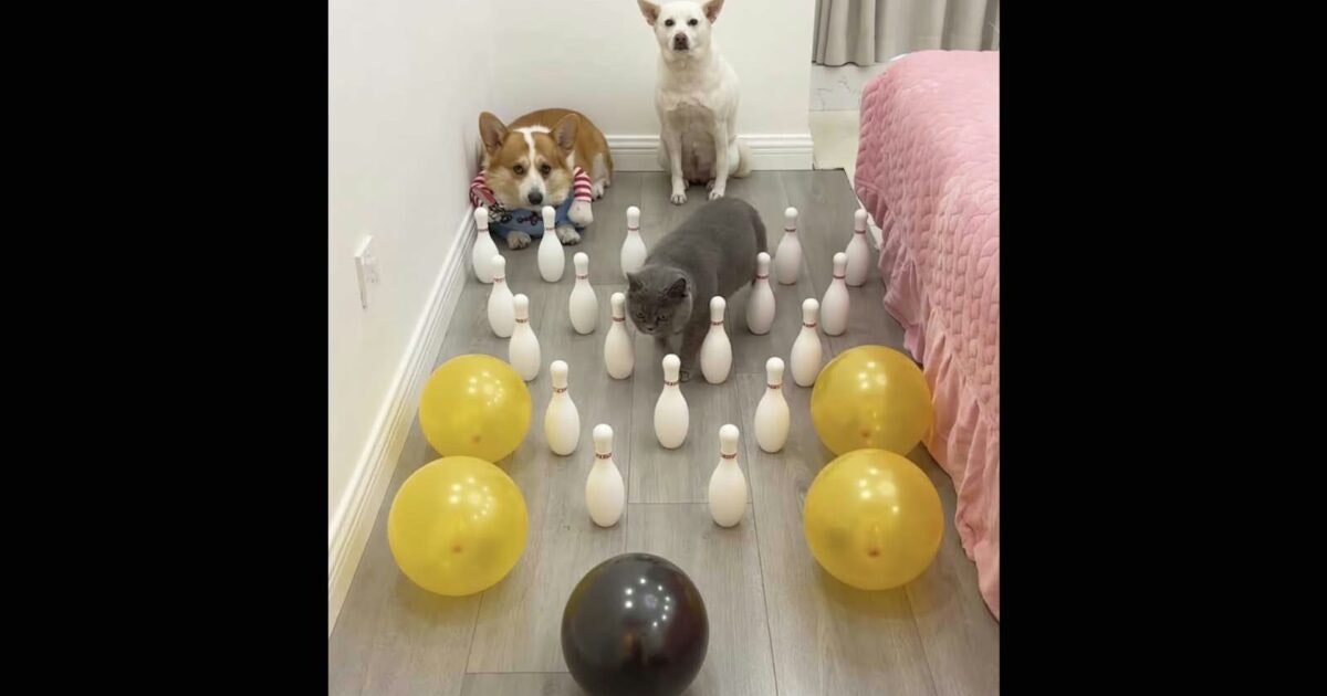Daily Smile: Saturday, May 23, 2026