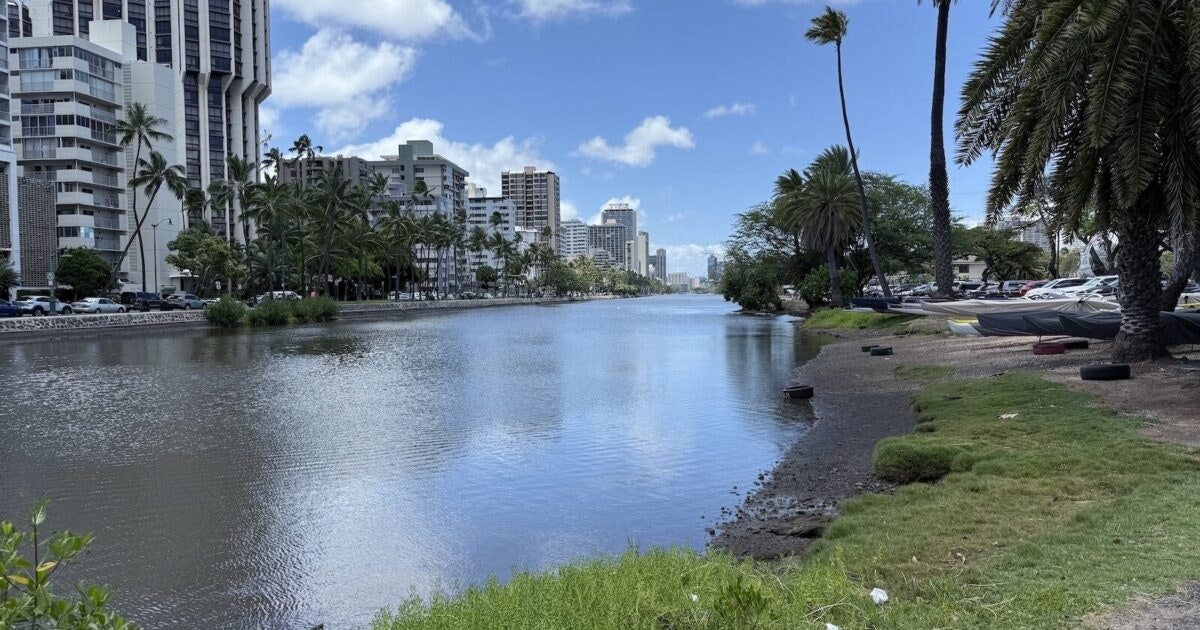 What goes into making Genki Balls and why the Ala Wai is better for it