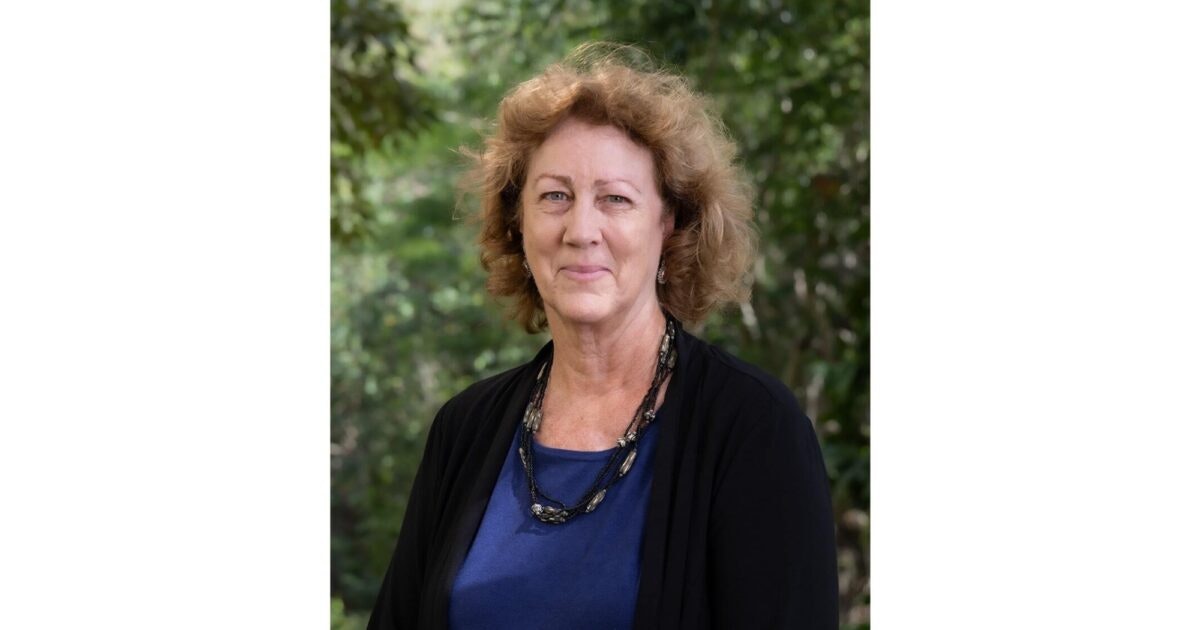 Kosasa Foundation launches new grant program for arts and culture nonprofits