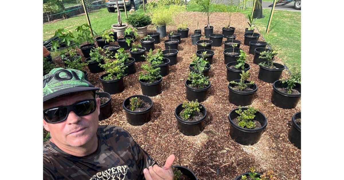 How this Maui nonprofit has taken root