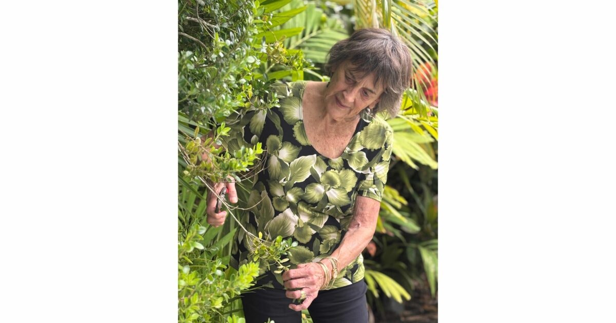 Uncles and Aunties: Diane Harding, president of the Lani-Kailua Outdoor ...