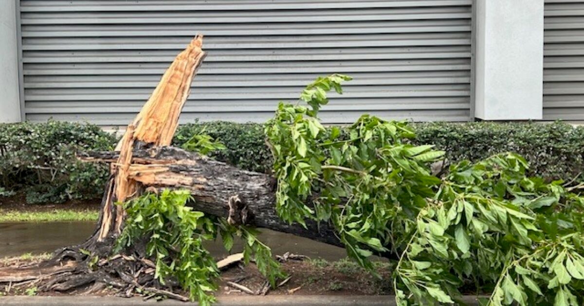 Storm closures across the Islands