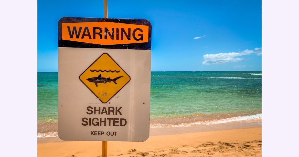 Where Hawai‘i ranked for shark attacks in 2025