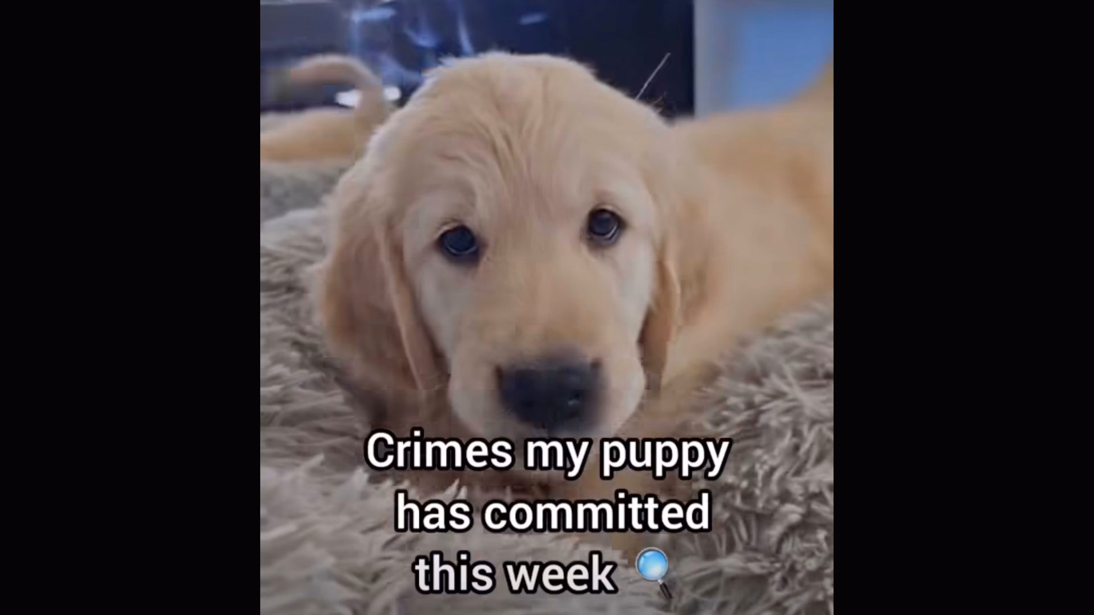 Daily Smile: Thursday, January 15, 2026