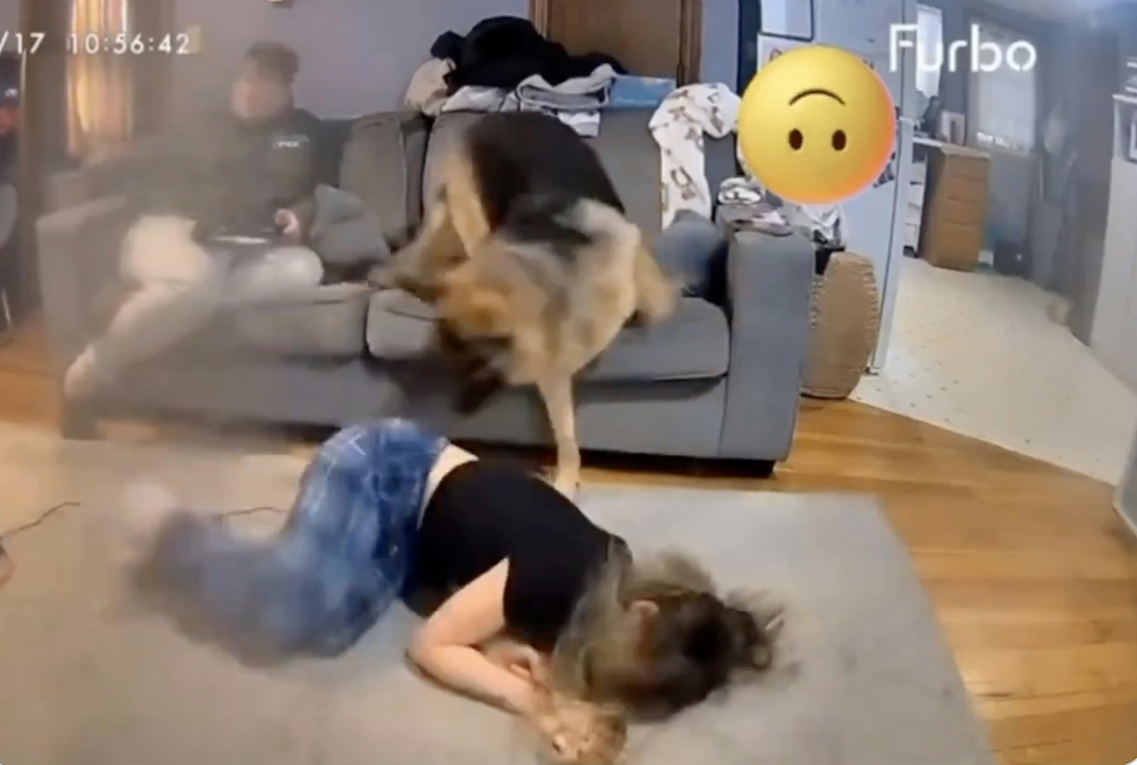 Daily Smile: Sunday, February 1, 2026